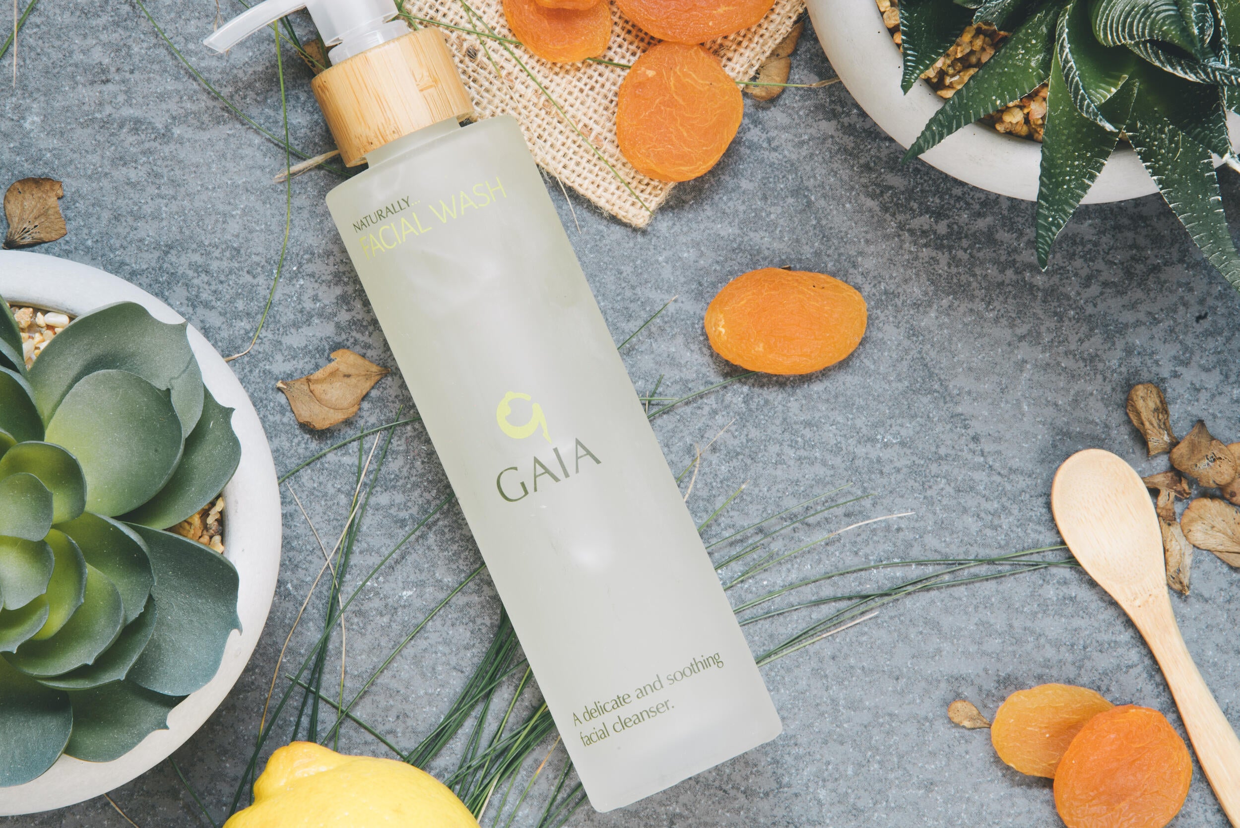 Skin Health Factors – GAIA Skincare