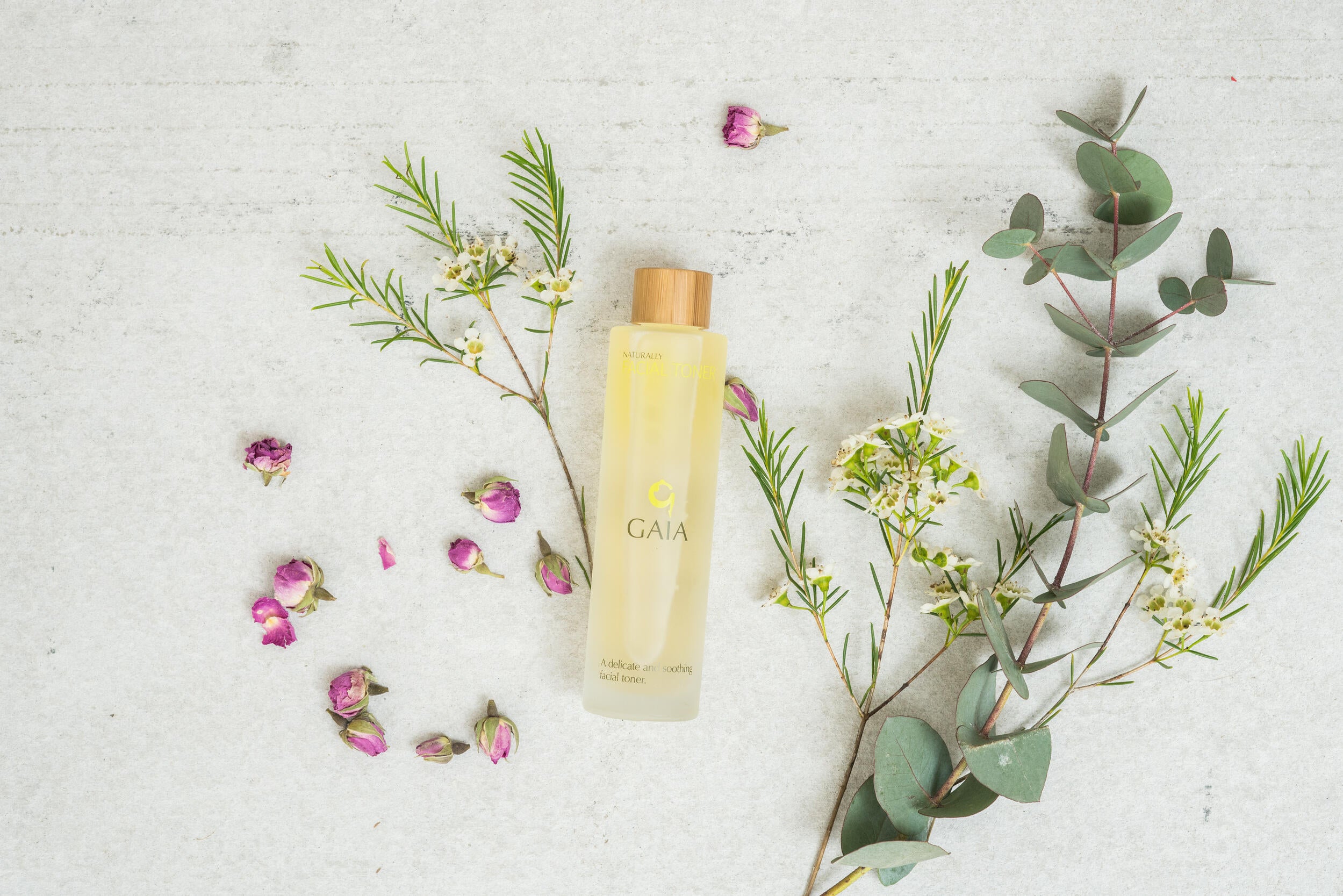Our Products – GAIA Skincare